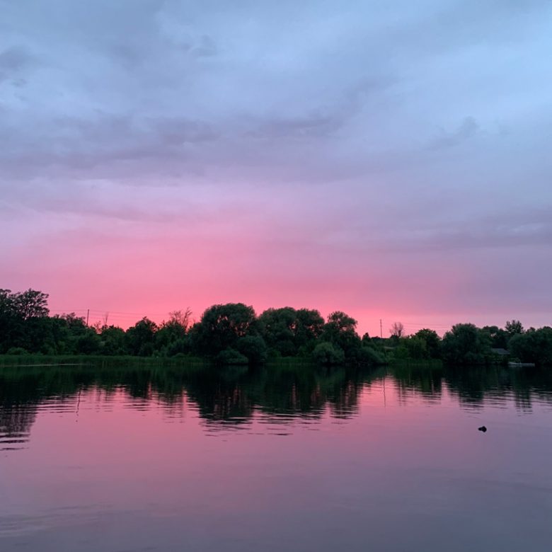 Cyan Solutions | Team